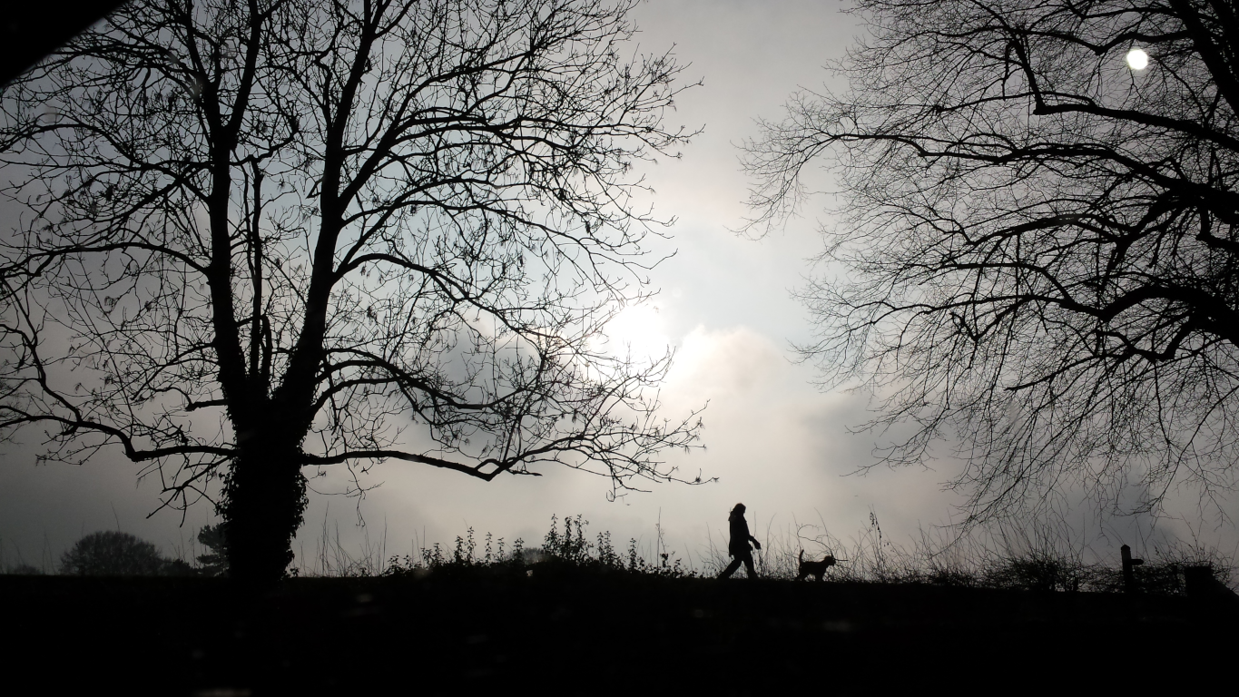 Contact - Gary Phelps